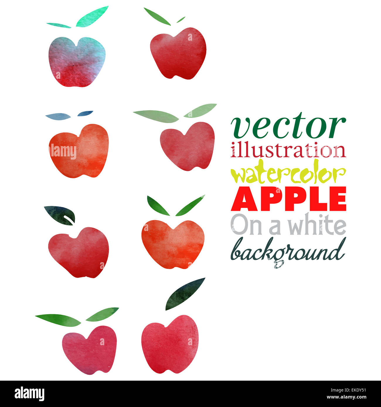 Apple illustration watercolor Cut Out Stock Images & Pictures - Alamy