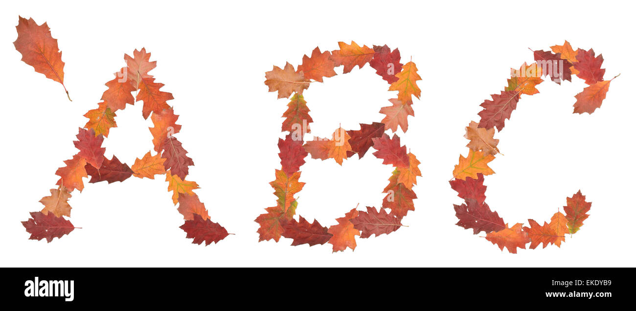 alphabet made of autumn leaves Stock Photo - Alamy