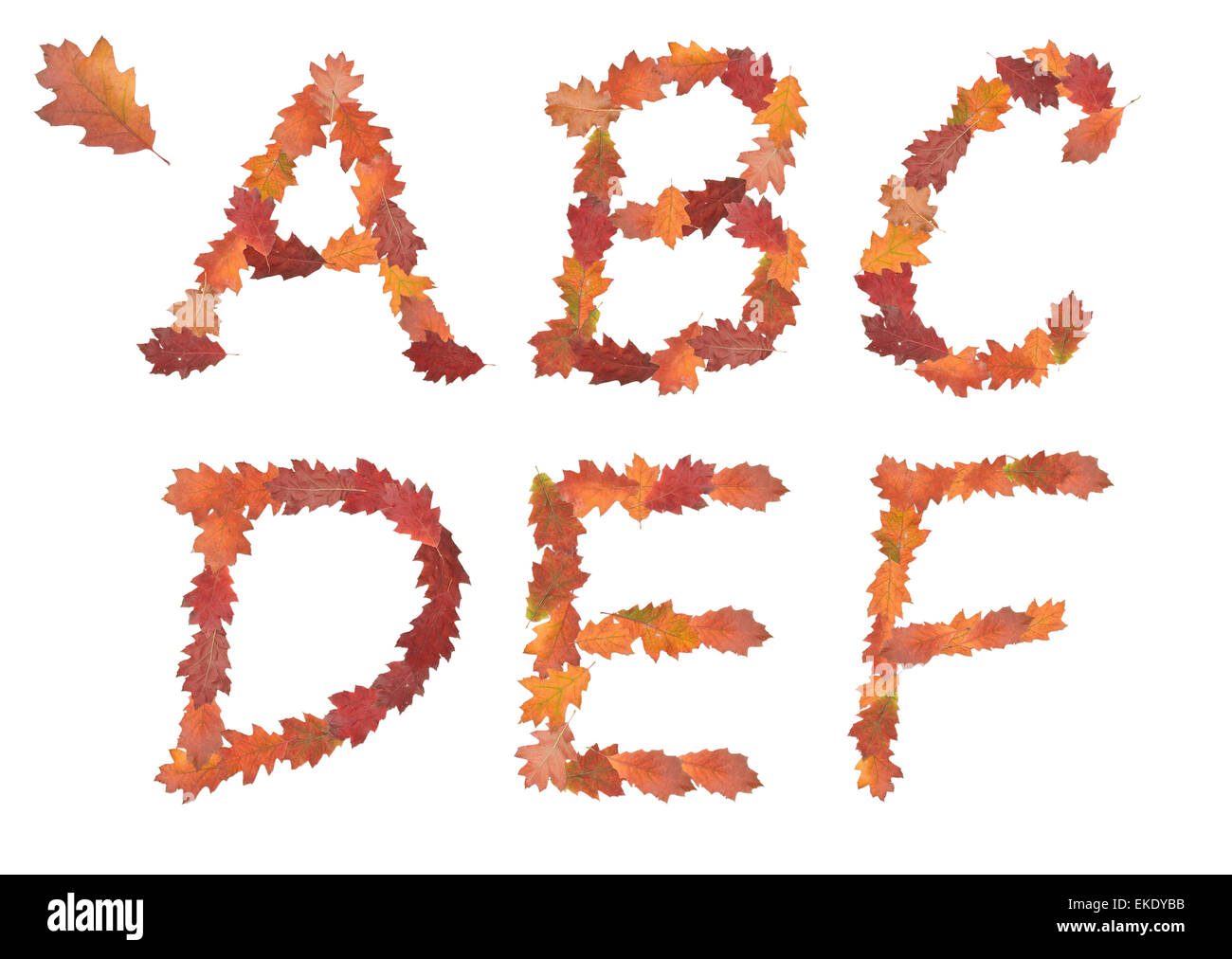 alphabet made of autumn leaves Stock Photo - Alamy