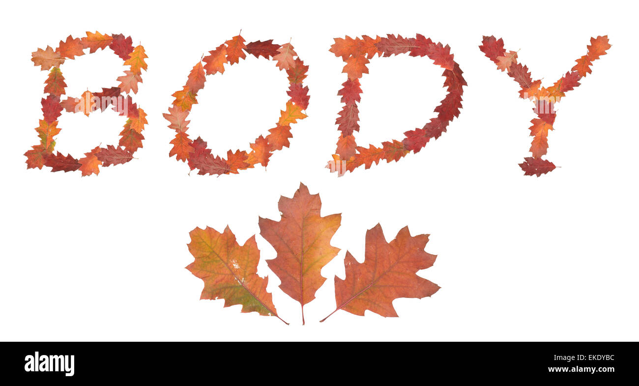 Body made by Cut Out Stock Images & Pictures - Alamy