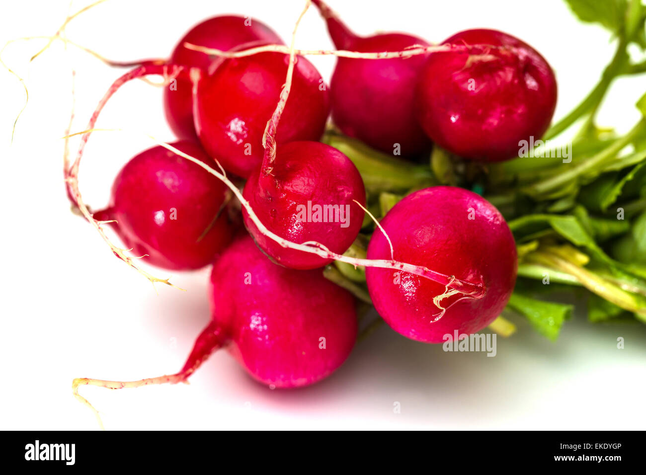 Bunch of fresh red radishes with green tops isolated on white ...