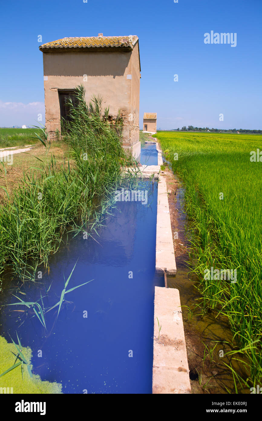 Rice fields in Valencia with irrigation and warehouse Stock Photo - Alamy