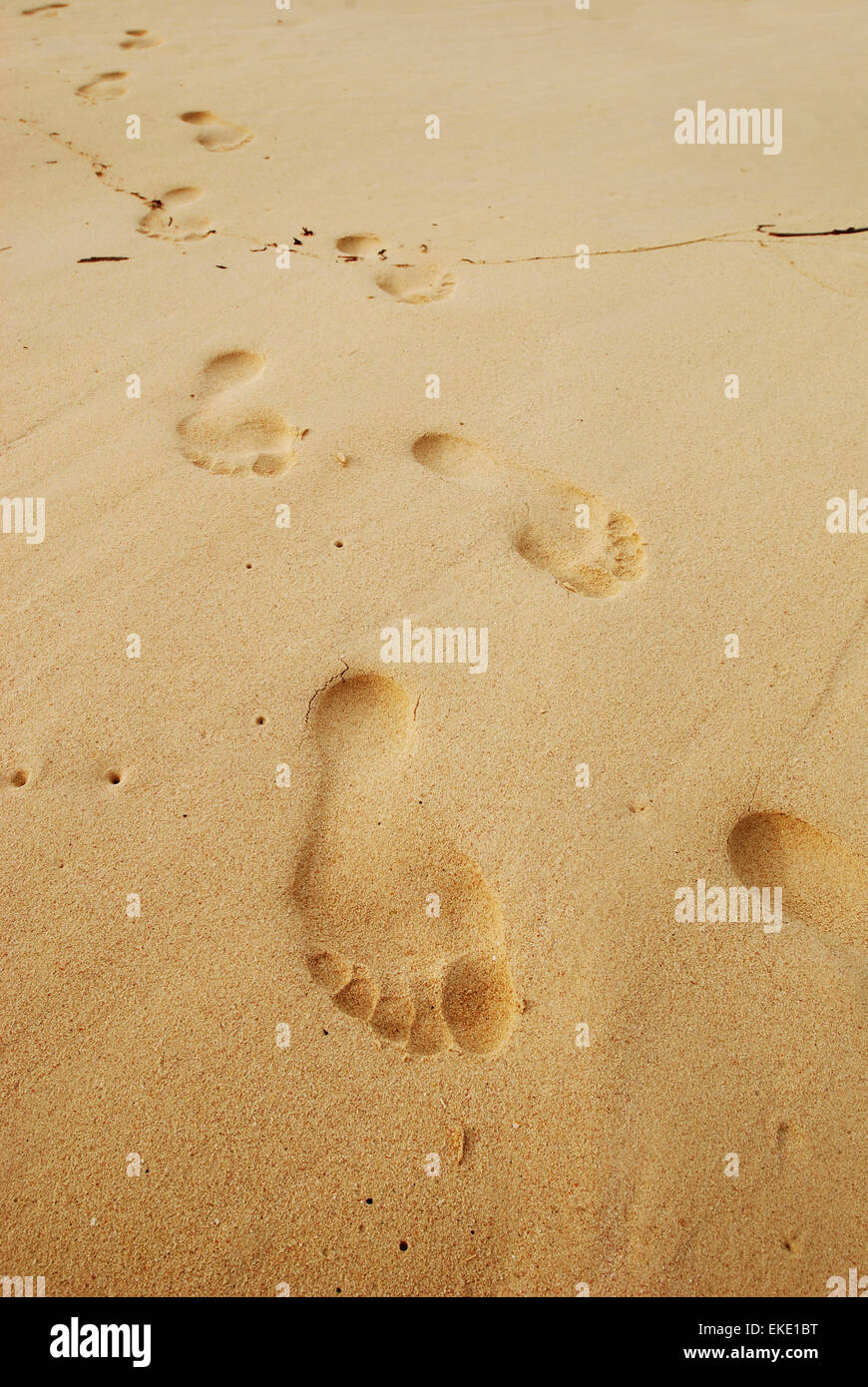 Remote tropical beach footprints hi-res stock photography and images ...