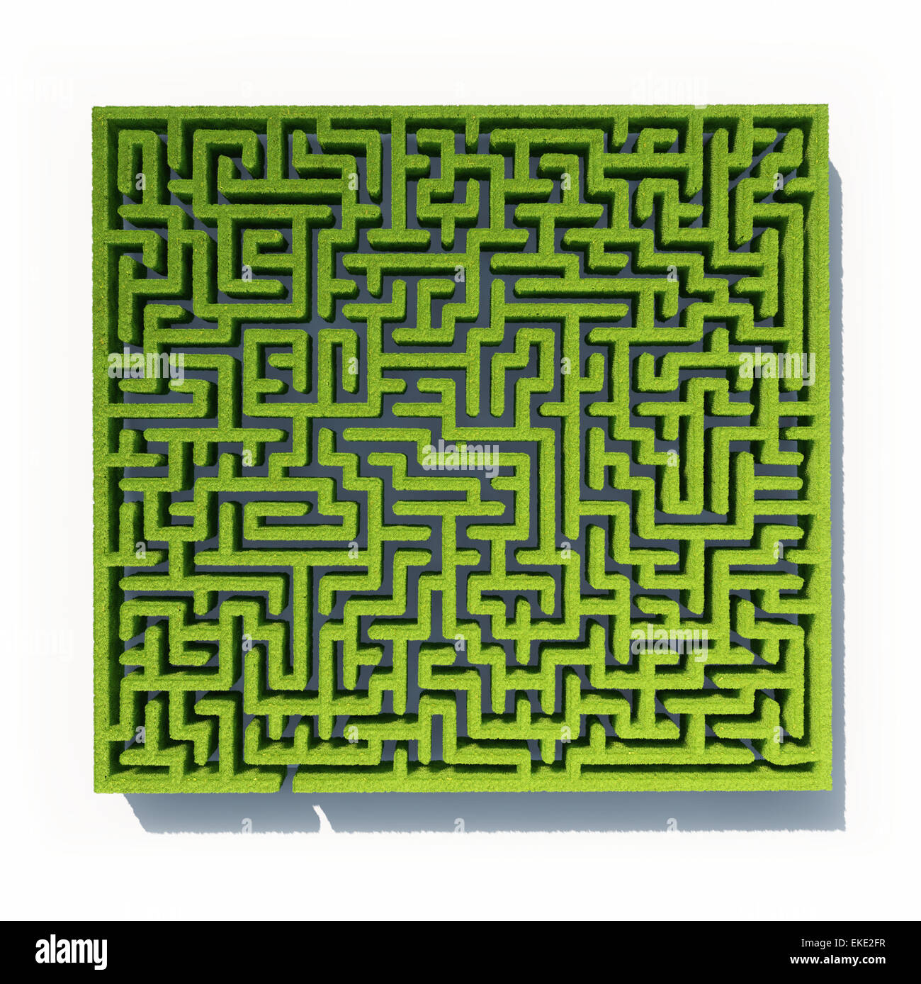 Grass plant nature scene Cut Out Stock Images & Pictures - Alamy