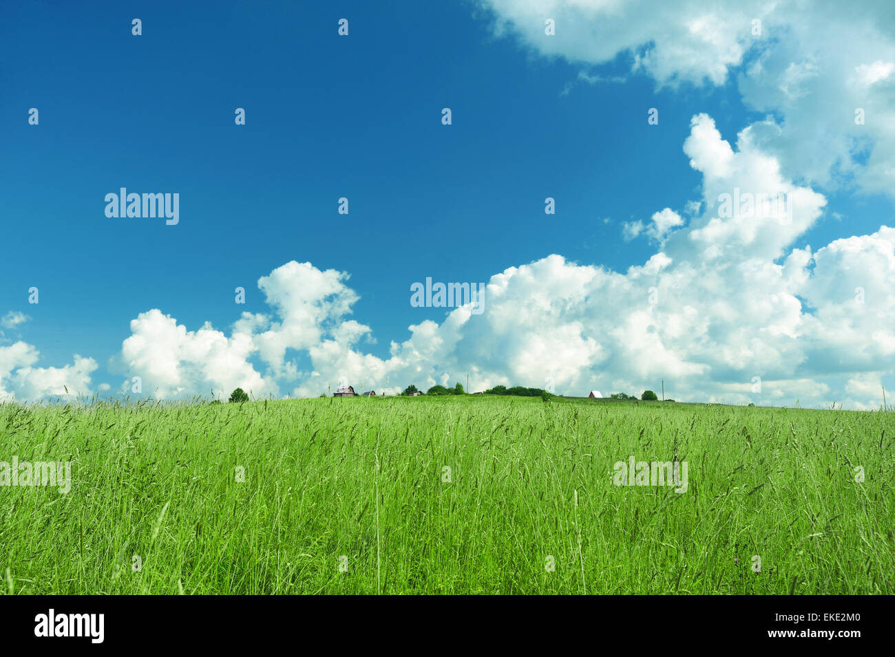 Green landscape hi-res stock photography and images - Alamy