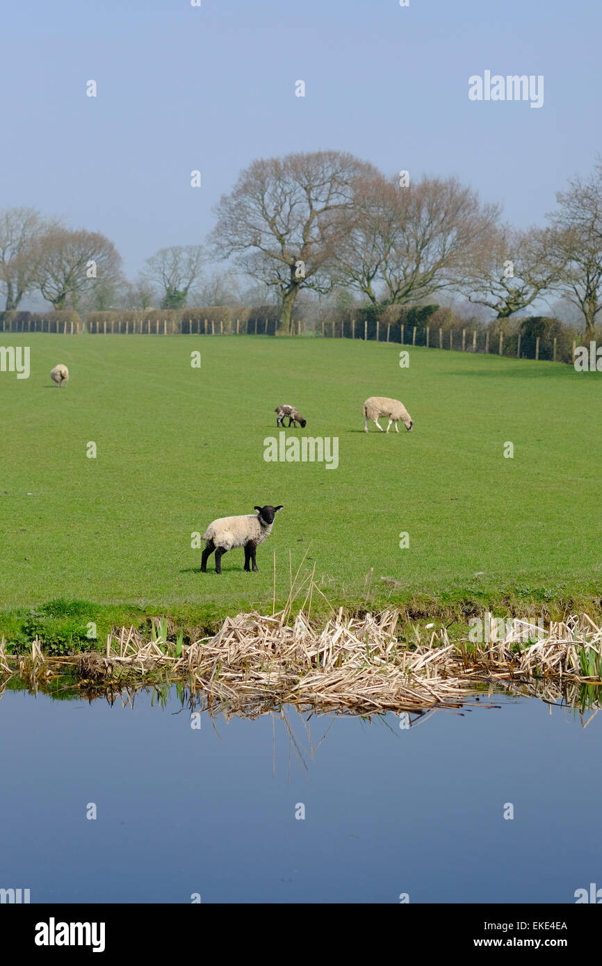 Lancaster lancashire land hi-res stock photography and images - Alamy