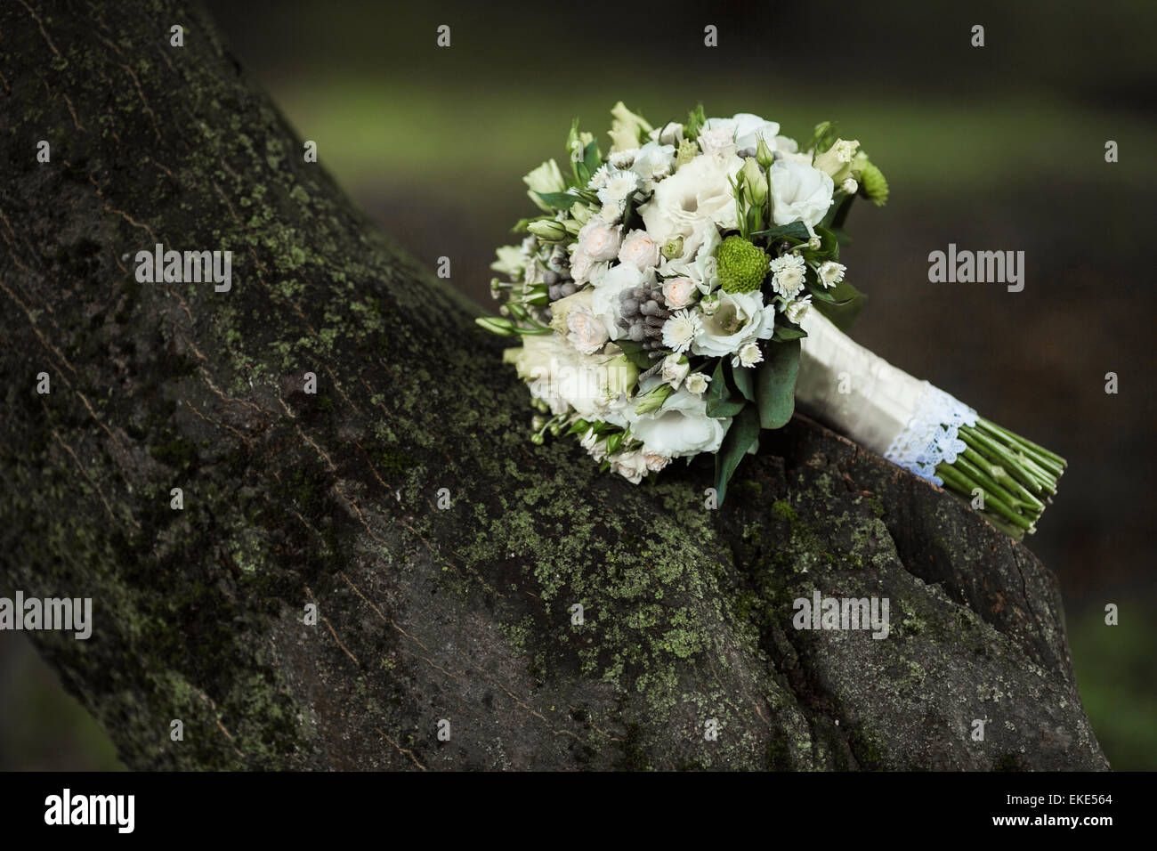 Very beautiful bridal bouquet lying on the tree Stock Photo - Alamy