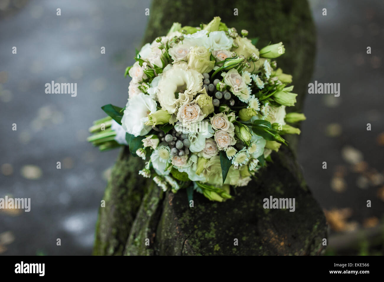 Very beautiful bridal bouquet lying on the tree Stock Photo - Alamy