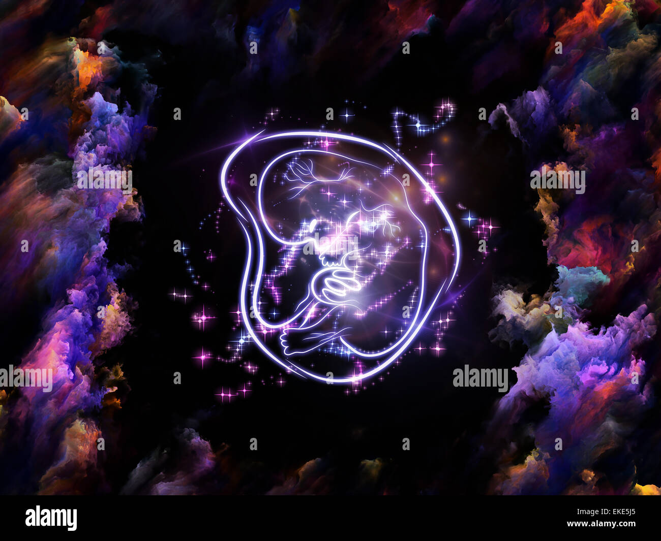 Human fetus embryo inside hi-res stock photography and images - Alamy