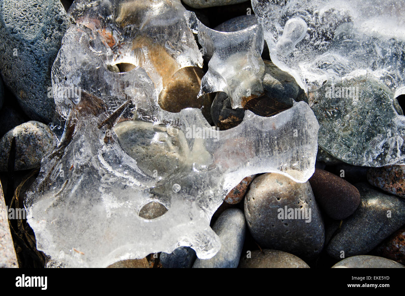Sea ice forming over beach stones on Little Hunters Beach, Acadia ...