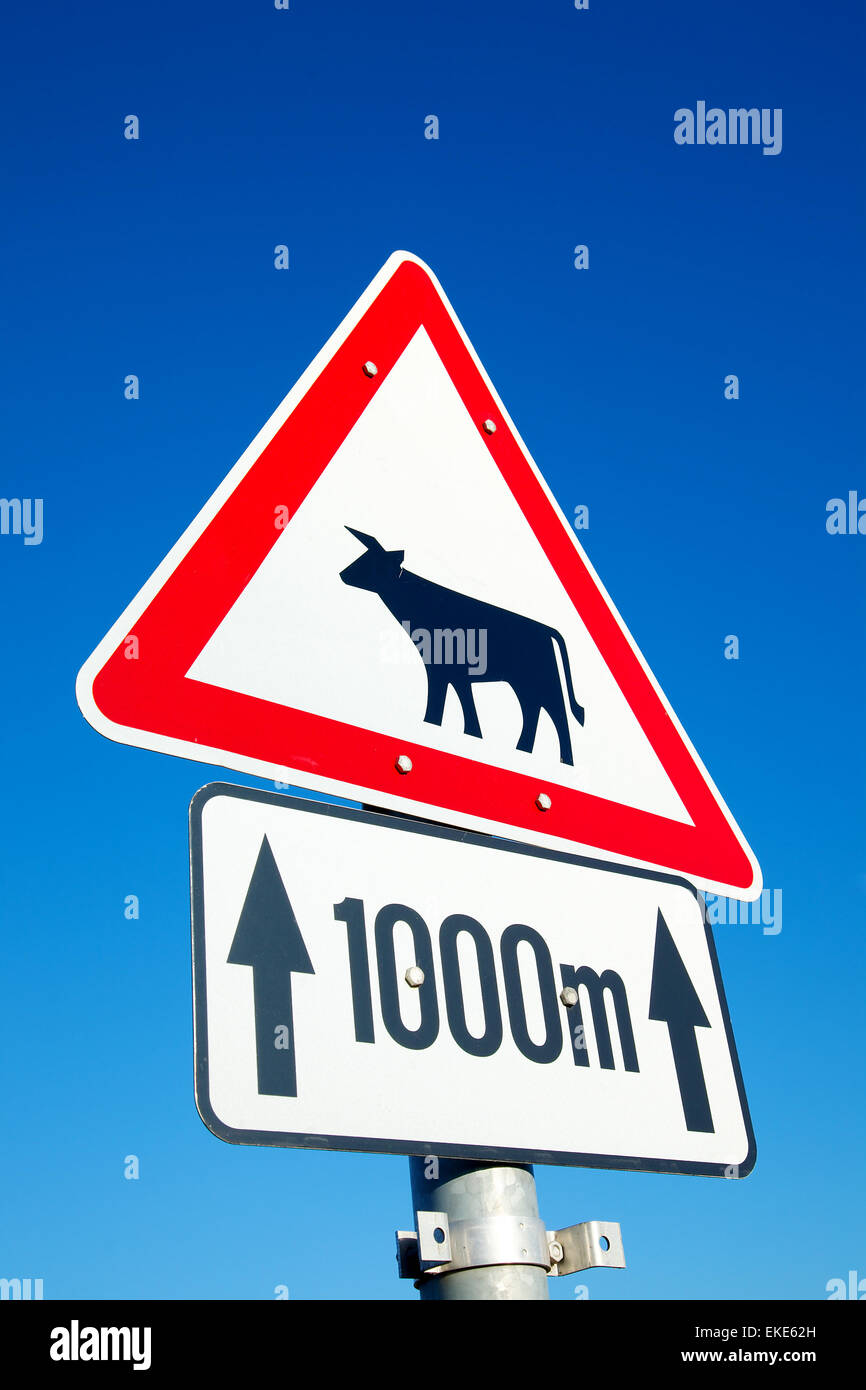 Animal cow road sign hi-res stock photography and images - Alamy