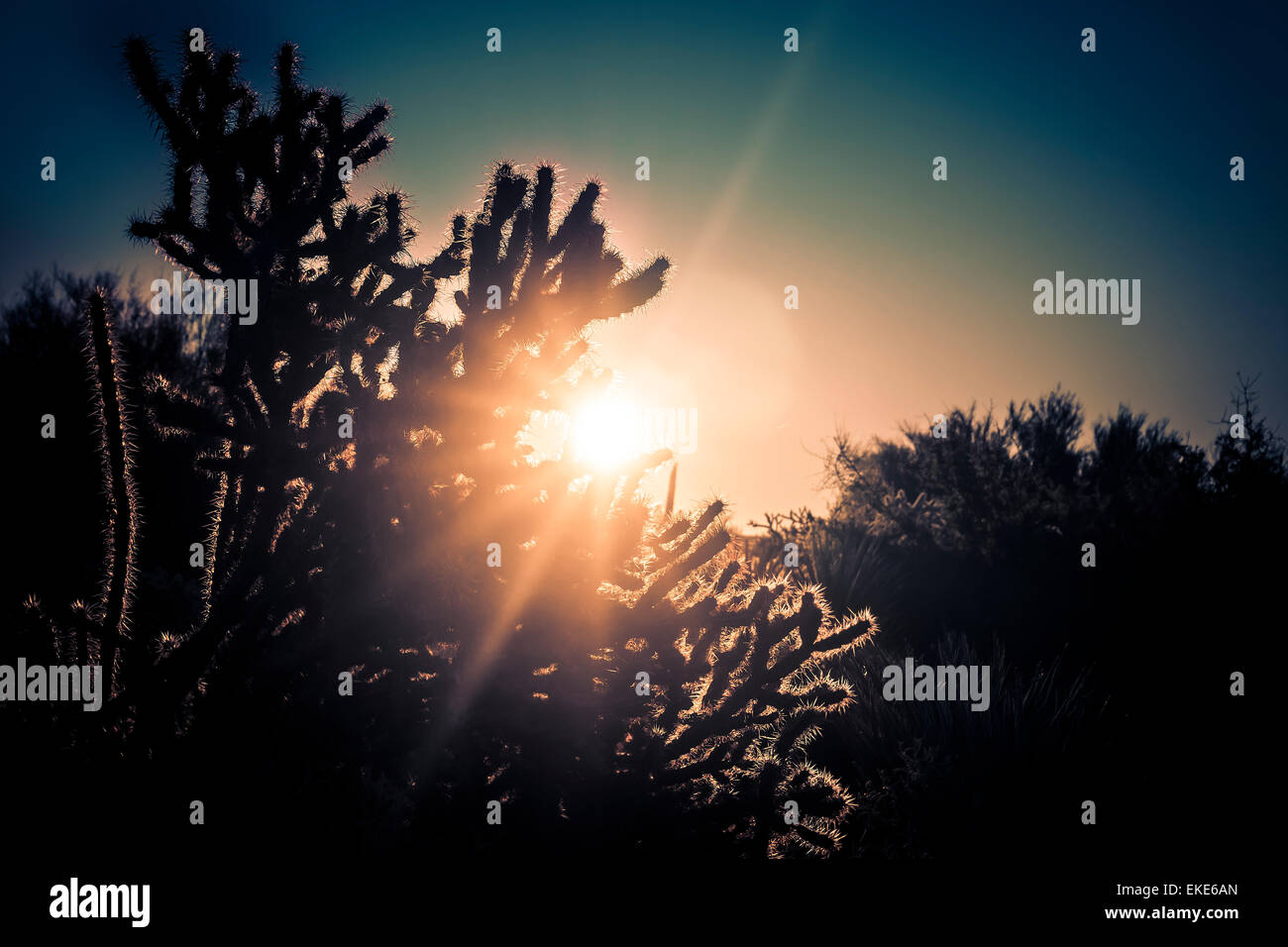 College of the desert hi-res stock photography and images - Alamy
