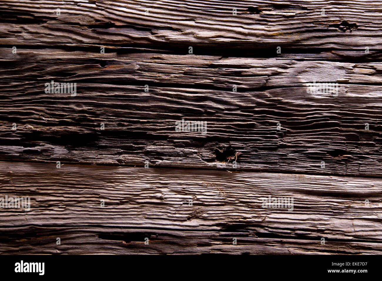 Texture of bark wood use as natural background Stock Photo - Alamy