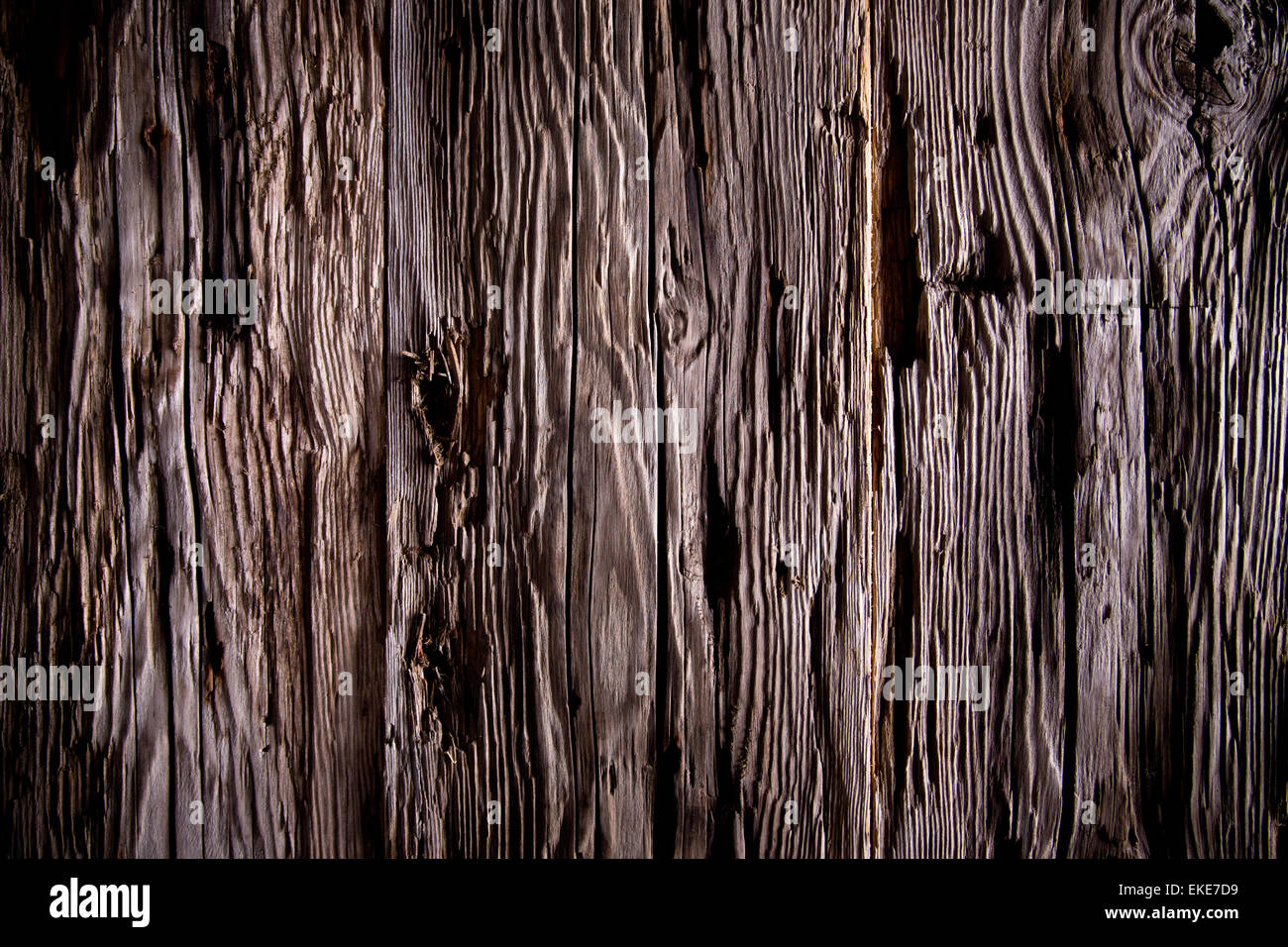 Texture of bark wood use as natural background Stock Photo - Alamy