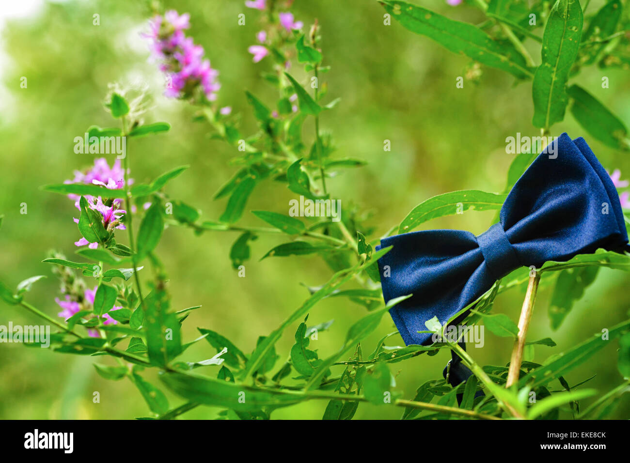 Hanging flower arrangement hi-res stock photography and images - Alamy