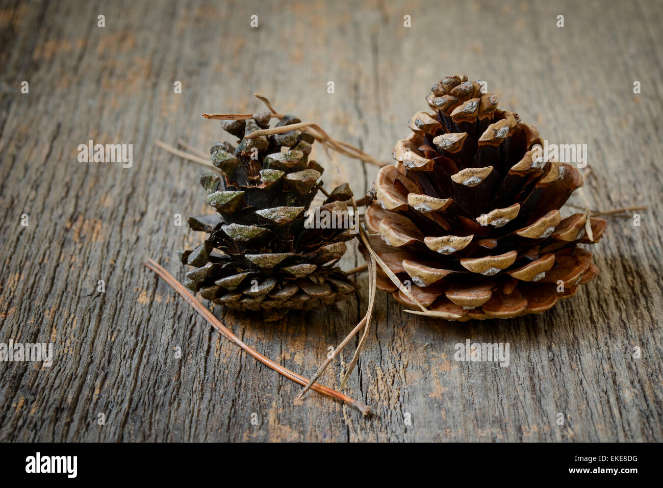 Two fir cones with wooden background Stock Photo - Alamy