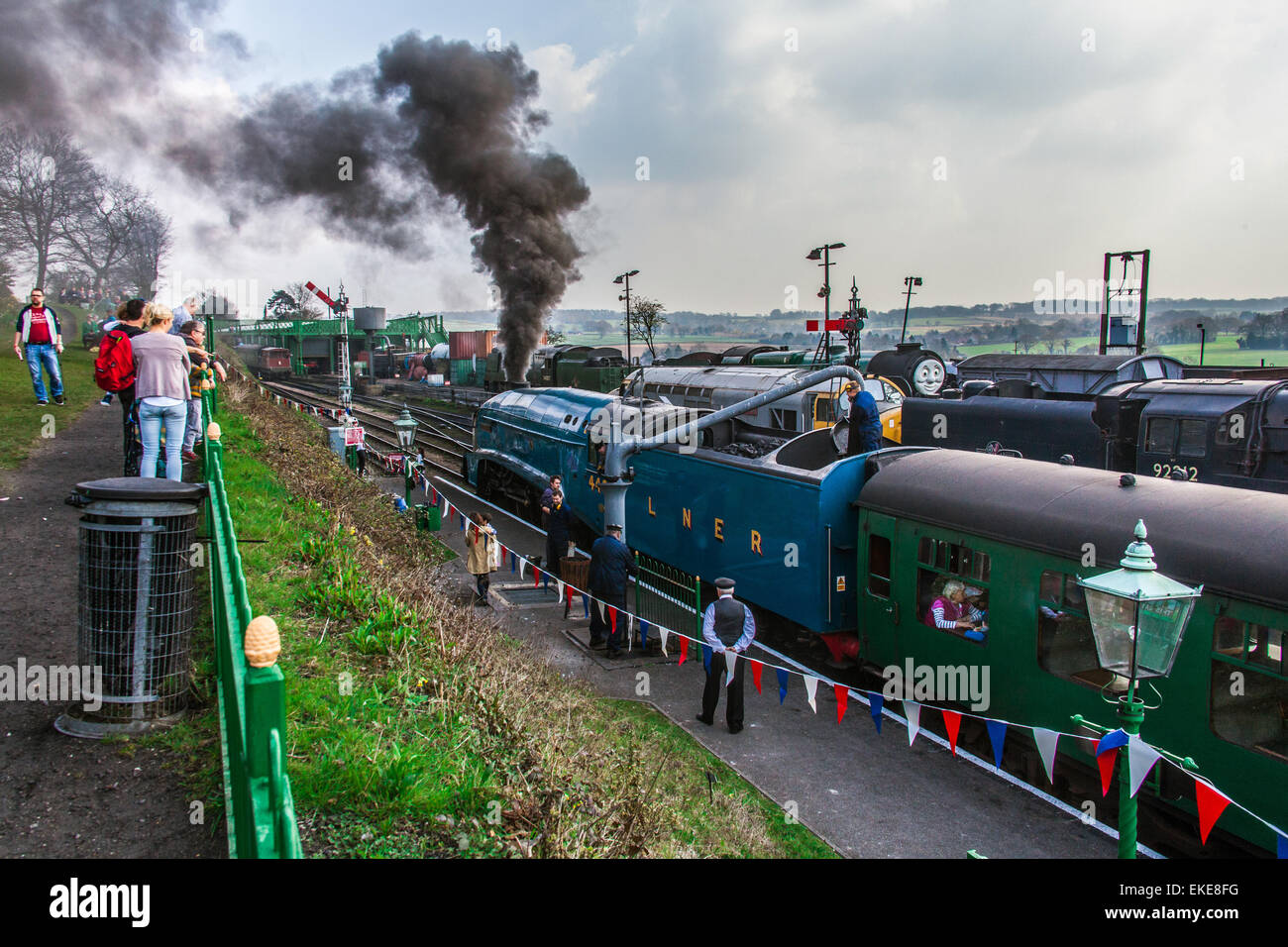 Steam train LNER A4 Pacific No. 4464 'Bittern' on the Watercress line ...