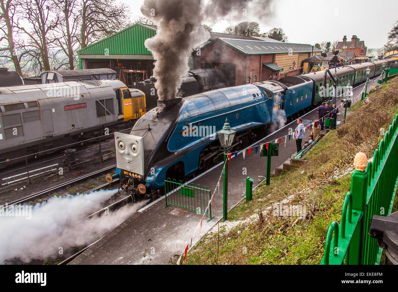 Steam train LNER A4 Pacific No. 4464 'Bittern' on the Watercress line ...