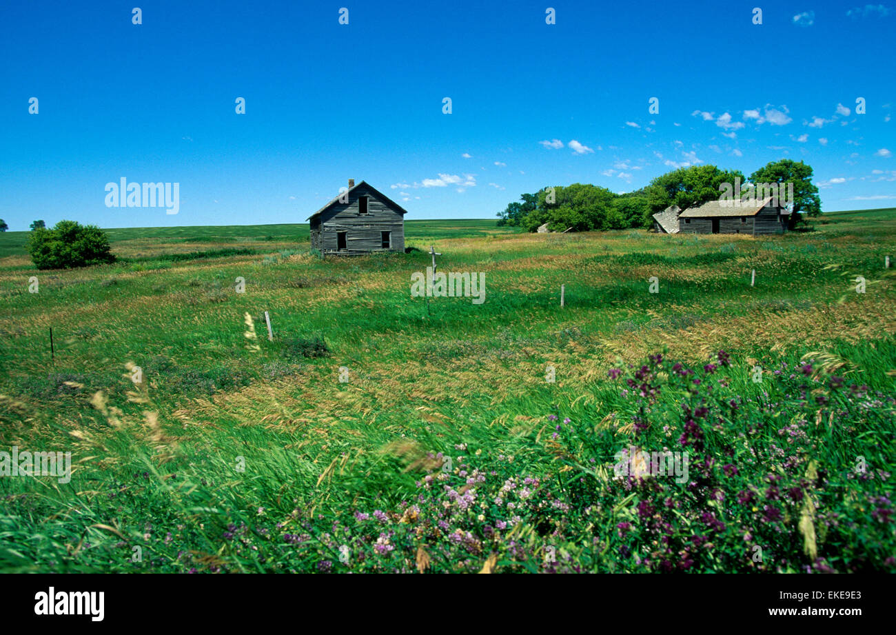 Farm scene near Pollock, South Dakota, USA Stock Photo - Alamy