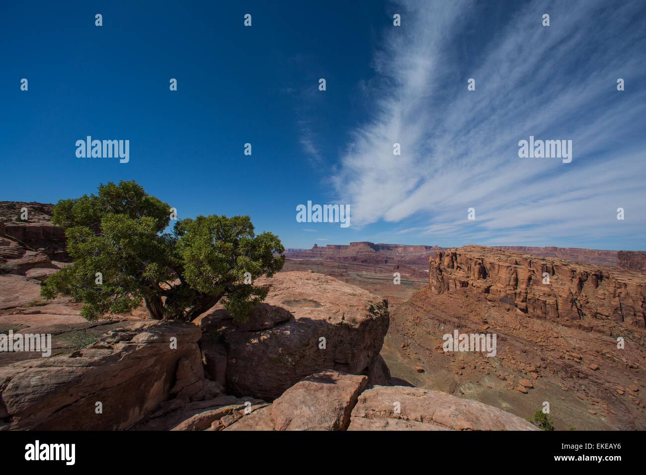 Moab, Utah, USA. 5th Apr, 2015. Deep blue sky and red slickrock ...