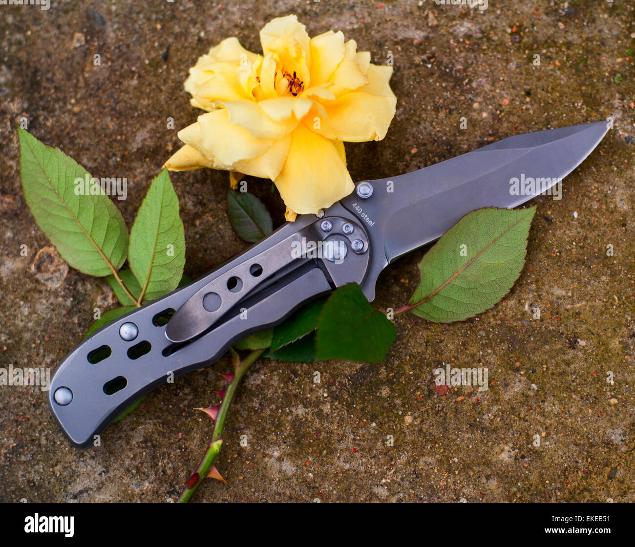 Sharp edge logo hi-res stock photography and images - Alamy