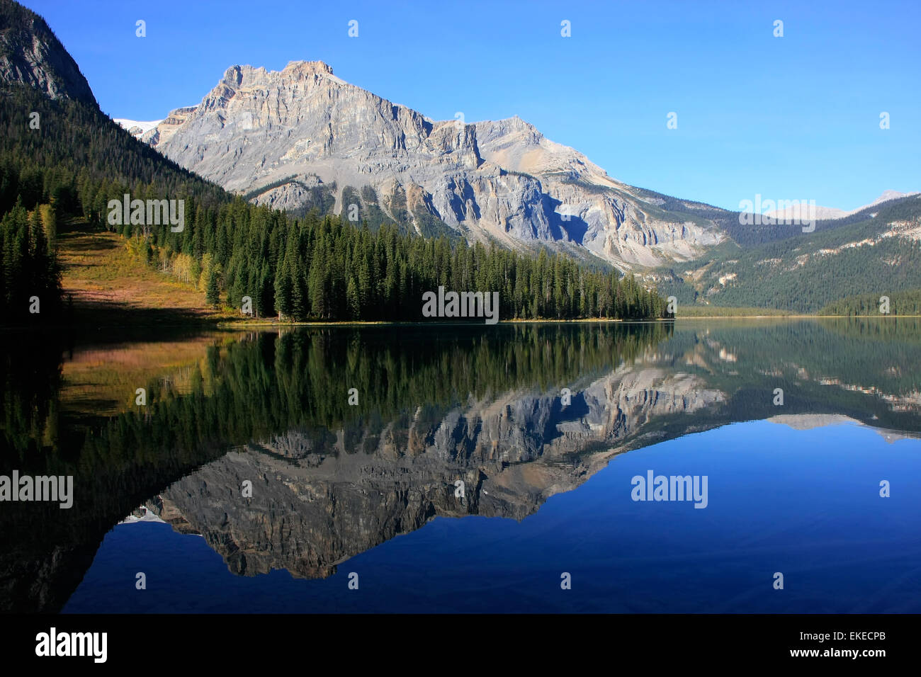Yoho park fossil hi-res stock photography and images - Alamy