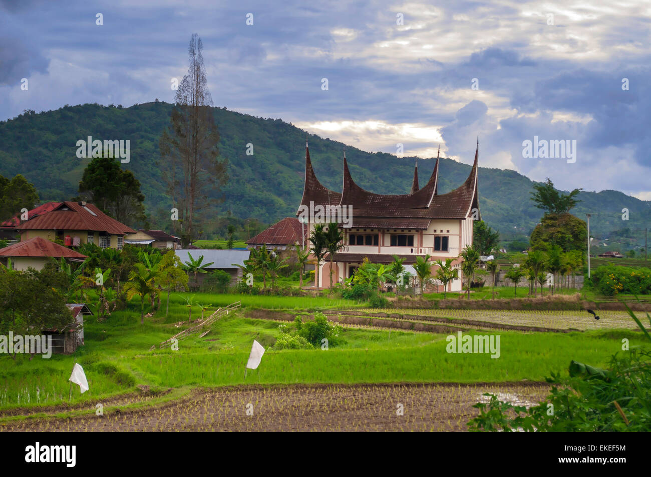 Minangkabau traditional house in the evening Stock Photo - Alamy
