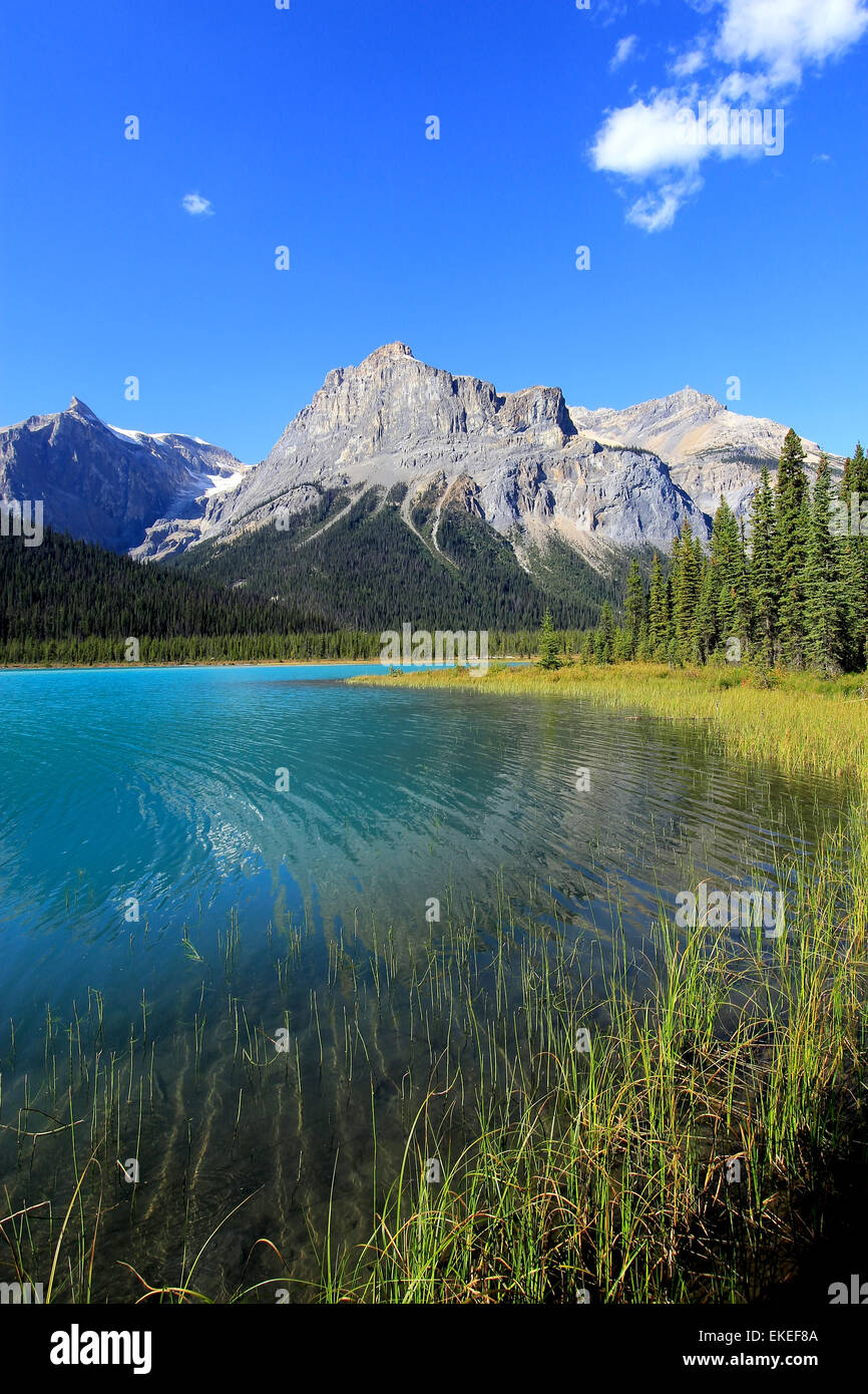 Yoho park fossil hi-res stock photography and images - Alamy