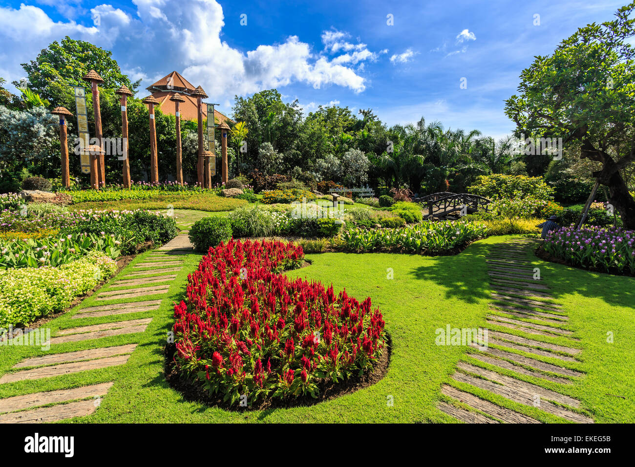 Ratchaphruek Stock Photos & Ratchaphruek Stock Images - Alamy