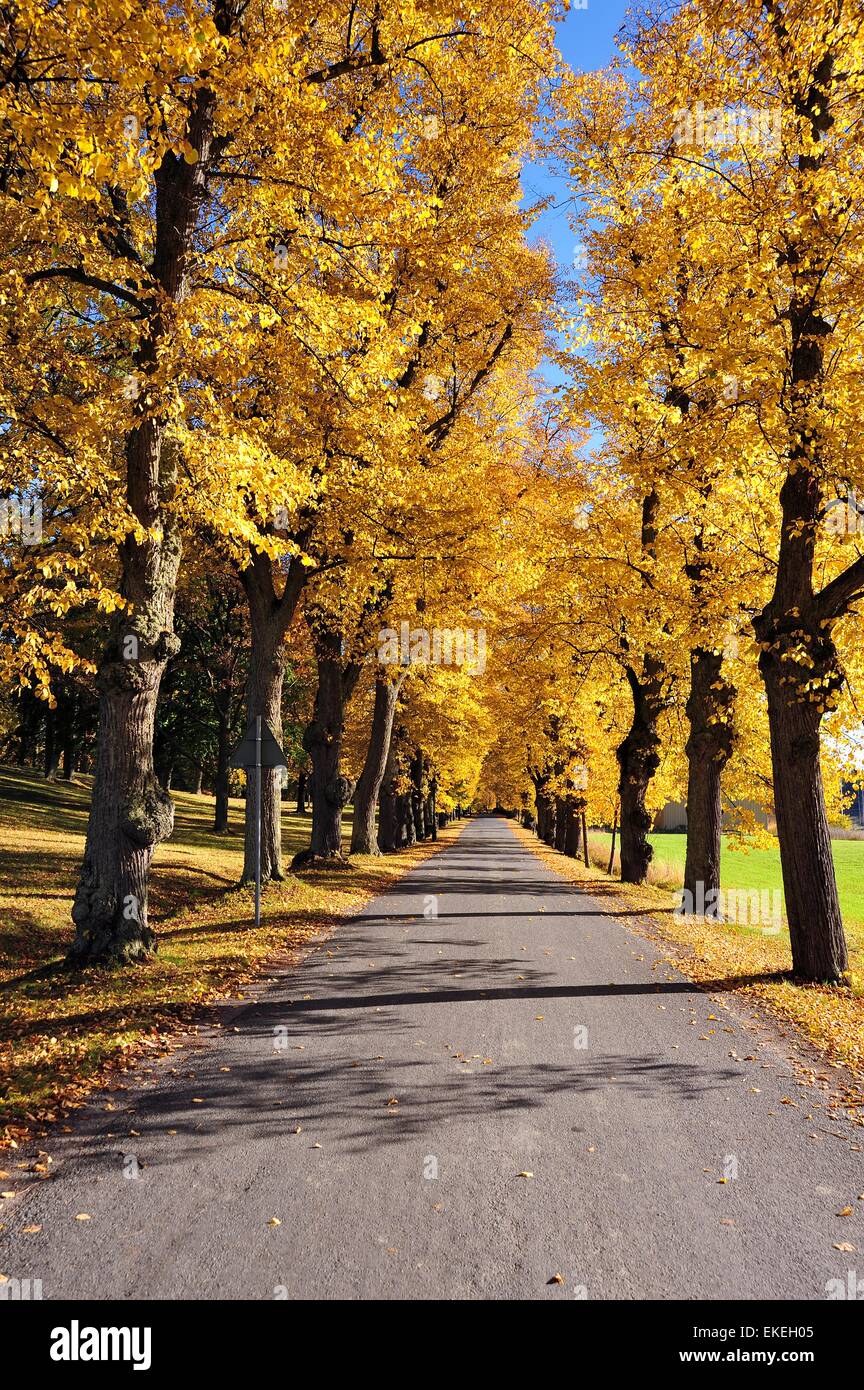 Multi Use Pathway High Resolution Stock Photography and Images - Alamy