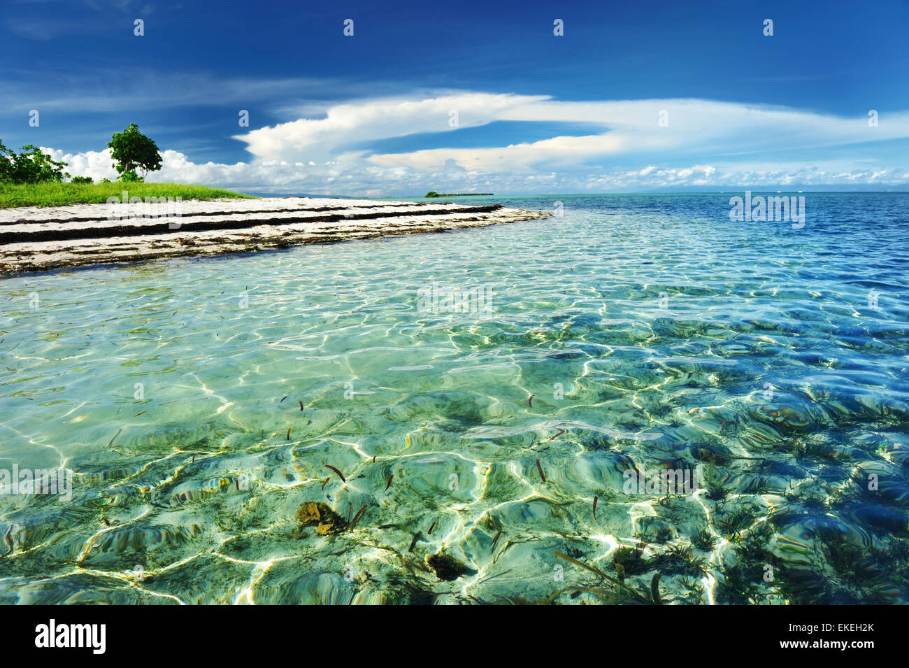 Beach on bohol philippines hi-res stock photography and images - Alamy