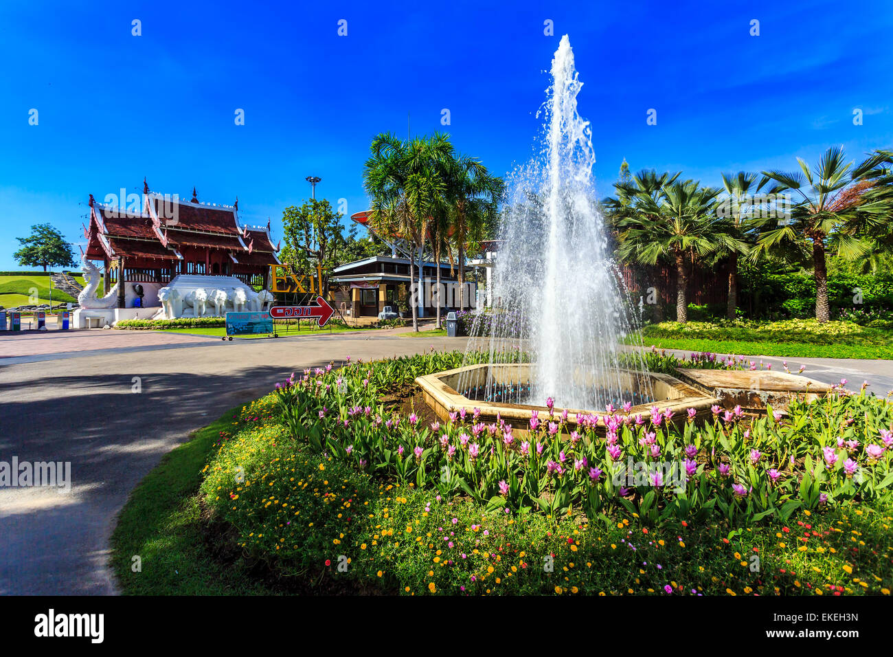 Royal park ratchaphruek hi-res stock photography and images - Alamy
