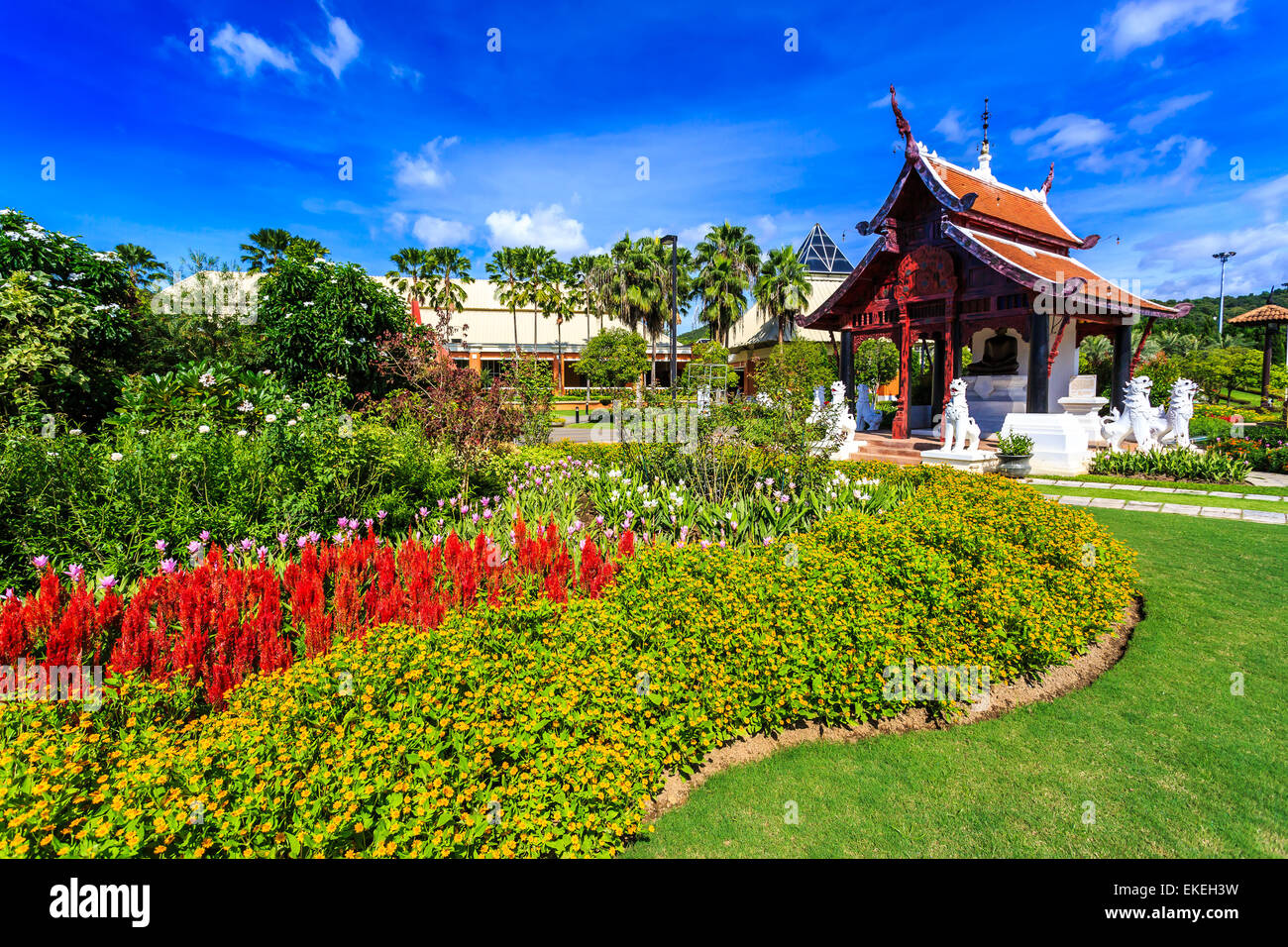 Ratchaphruek Stock Photos & Ratchaphruek Stock Images - Alamy