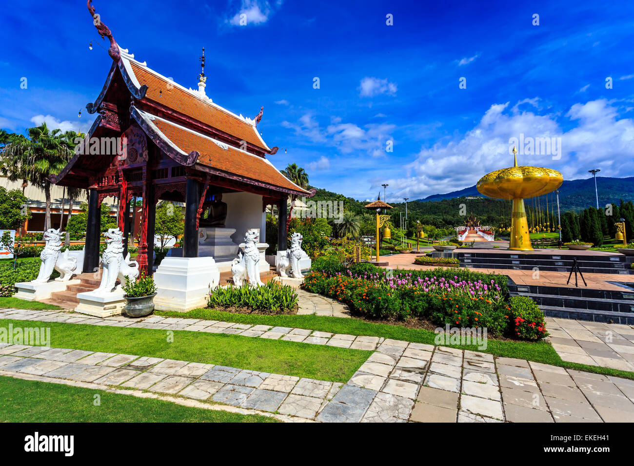 Ratchaphruek Stock Photos & Ratchaphruek Stock Images - Alamy