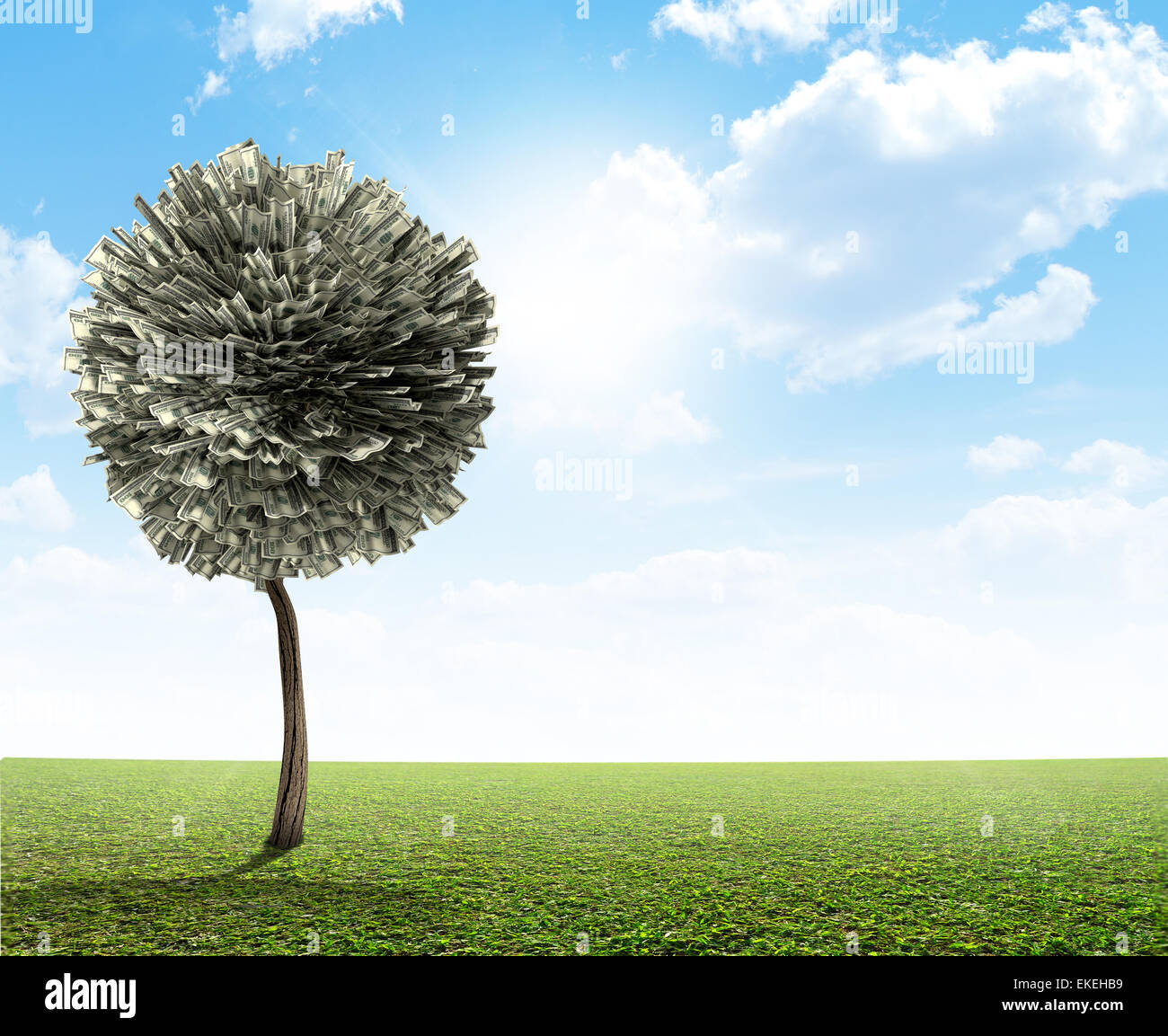 A stylized fantasy us dollar mythical money tree on a green lawn and ...