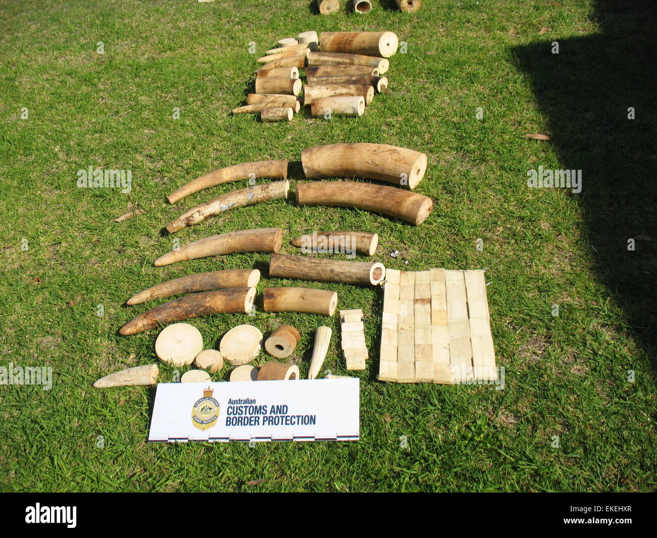 Australian customs officials hi-res stock photography and images - Alamy