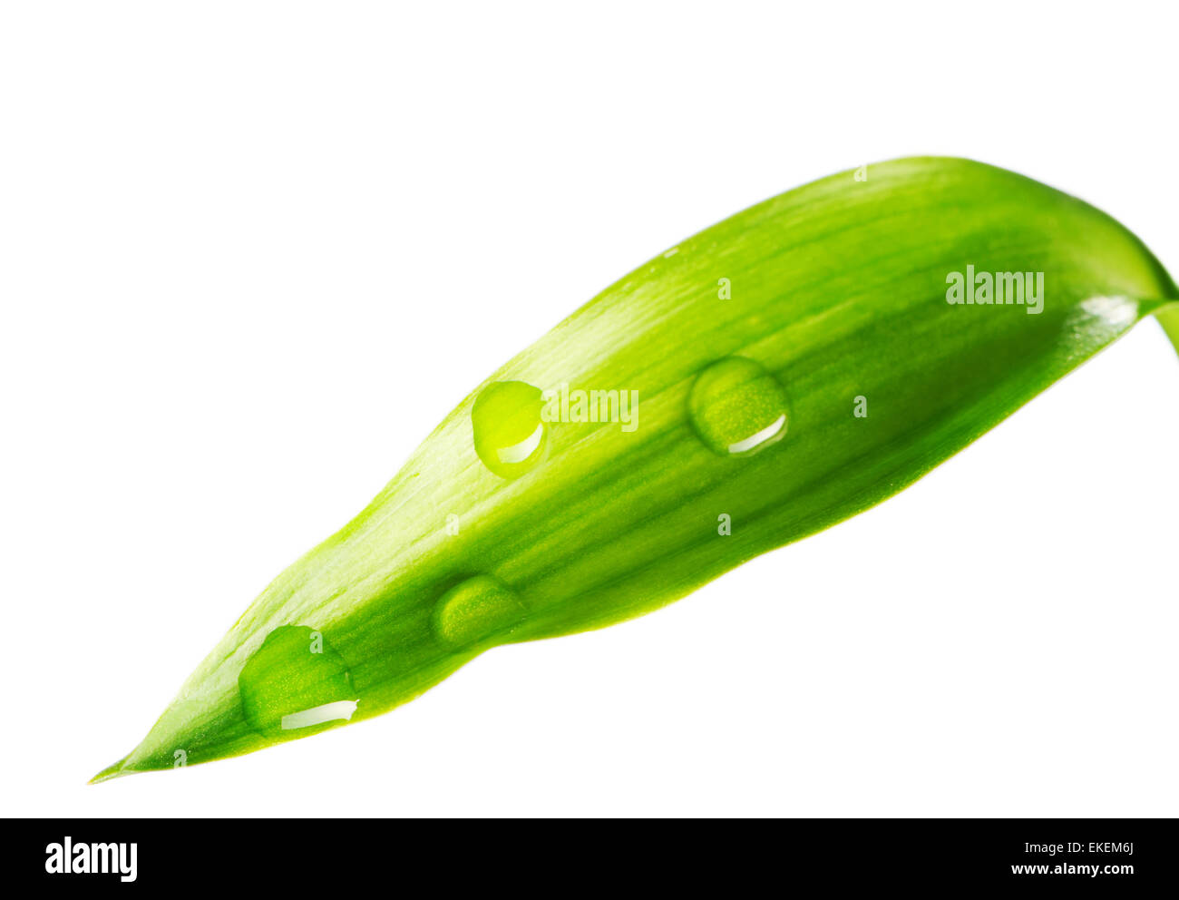 Drop on grass macro Cut Out Stock Images & Pictures - Alamy