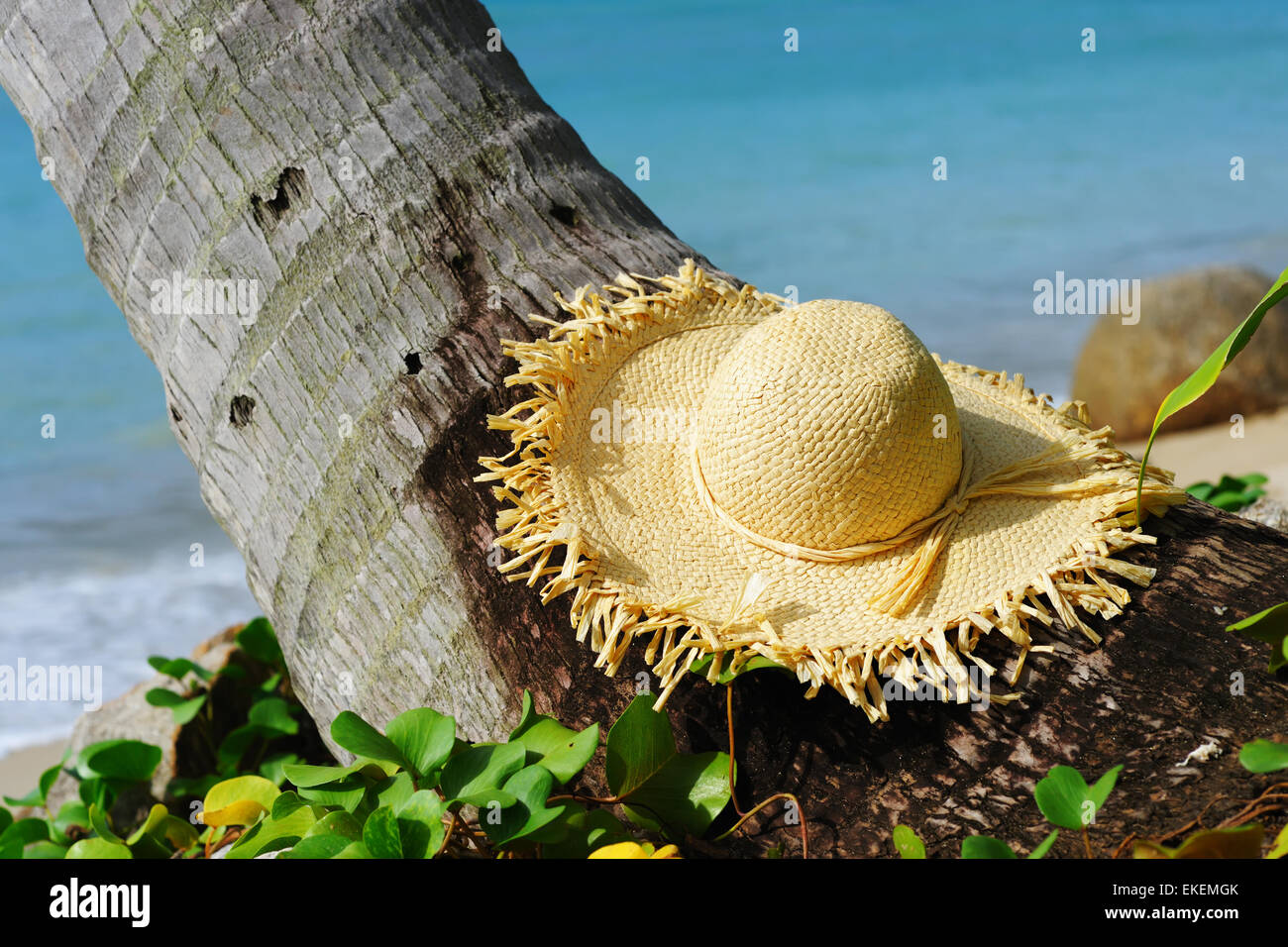 Hat on a beach Stock Photo - Alamy