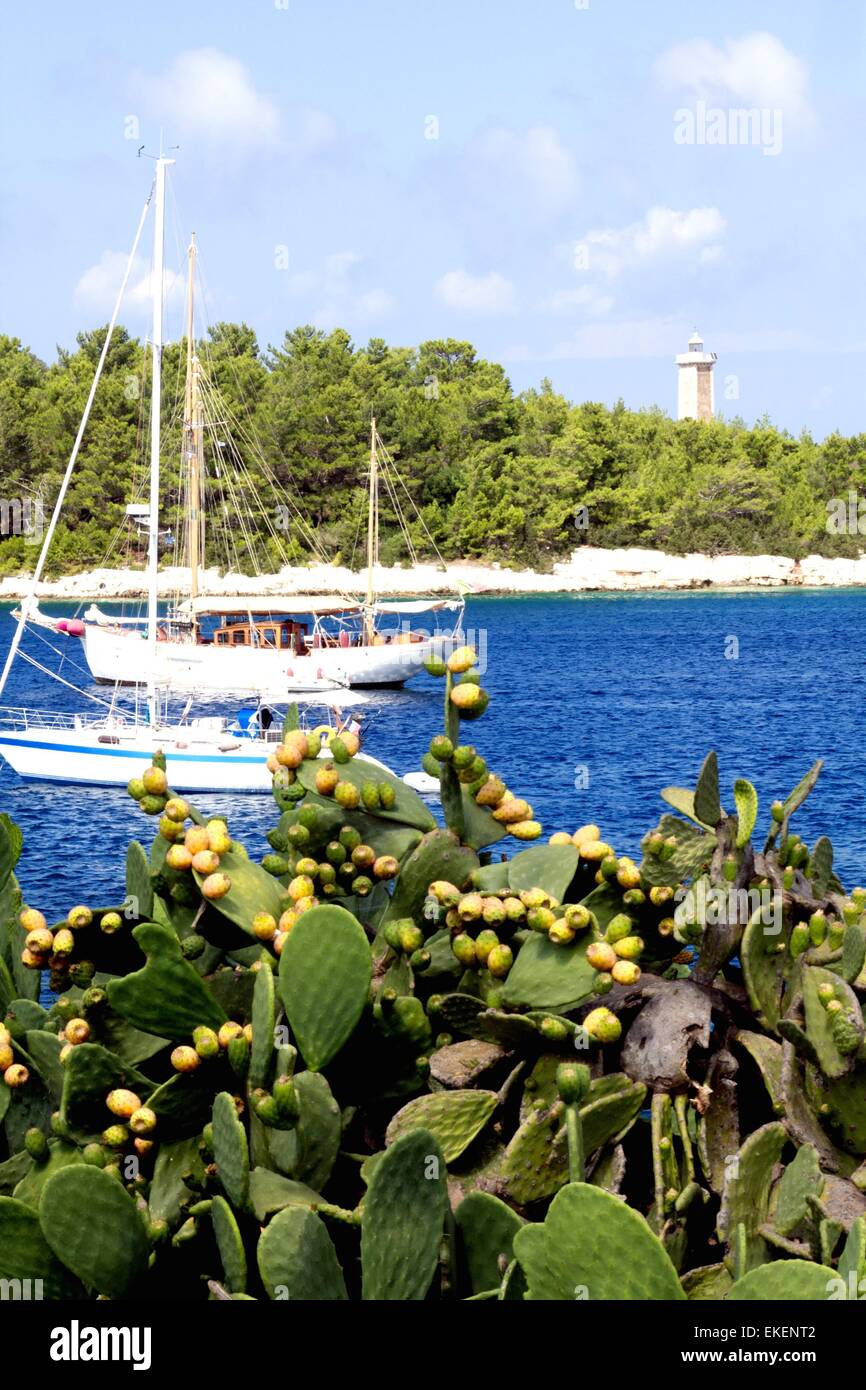 A view of Fiscardo beach,Kefalonia,Greece Stock Photo - Alamy