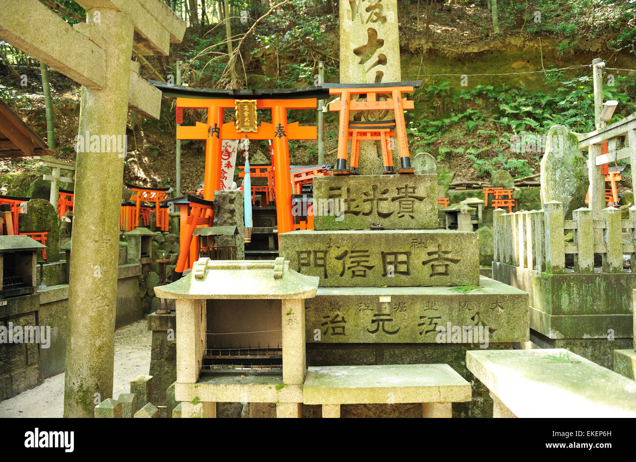 Torii temple gates hi-res stock photography and images - Alamy