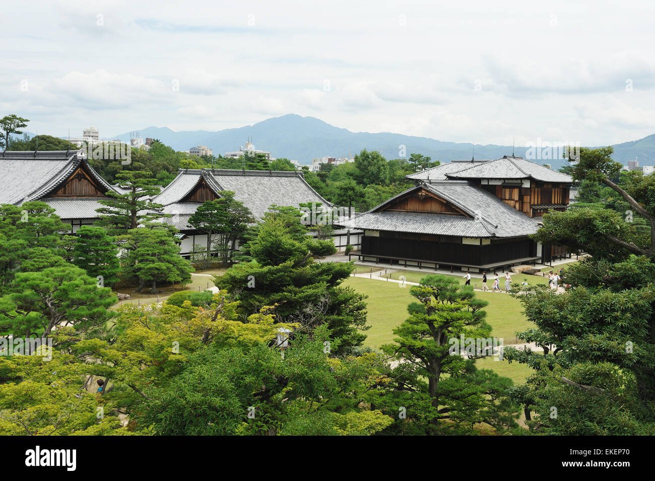 Beautiful trees in the park of the nijo castle hi-res stock photography ...