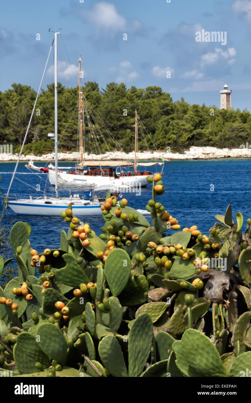 A view of Fiscardo beach,Kefalonia,Greece Stock Photo - Alamy