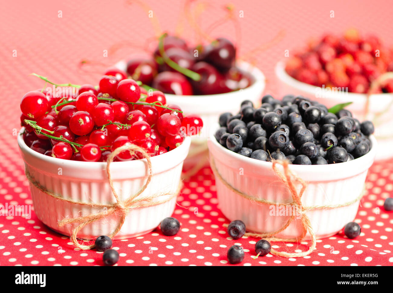 Wild berries in bowls Stock Photo - Alamy