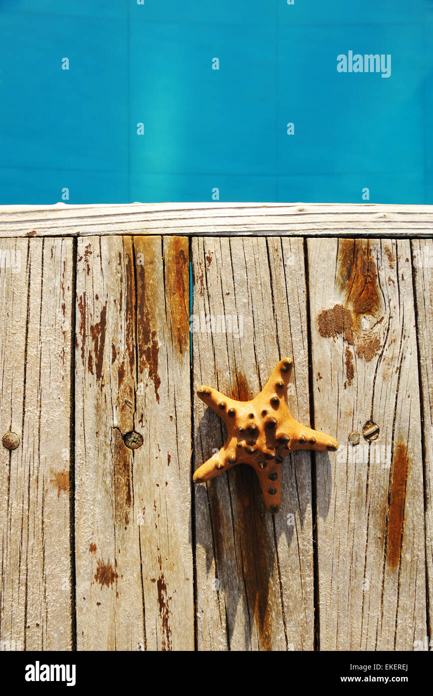 Starfish by a swimming pool Stock Photo - Alamy