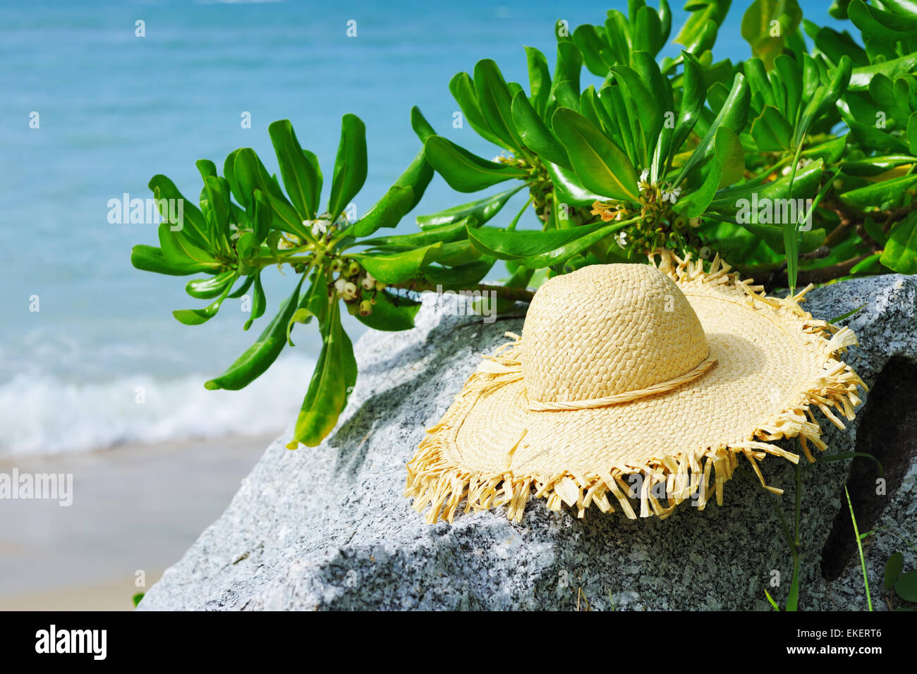 Hat on a beach Stock Photo - Alamy