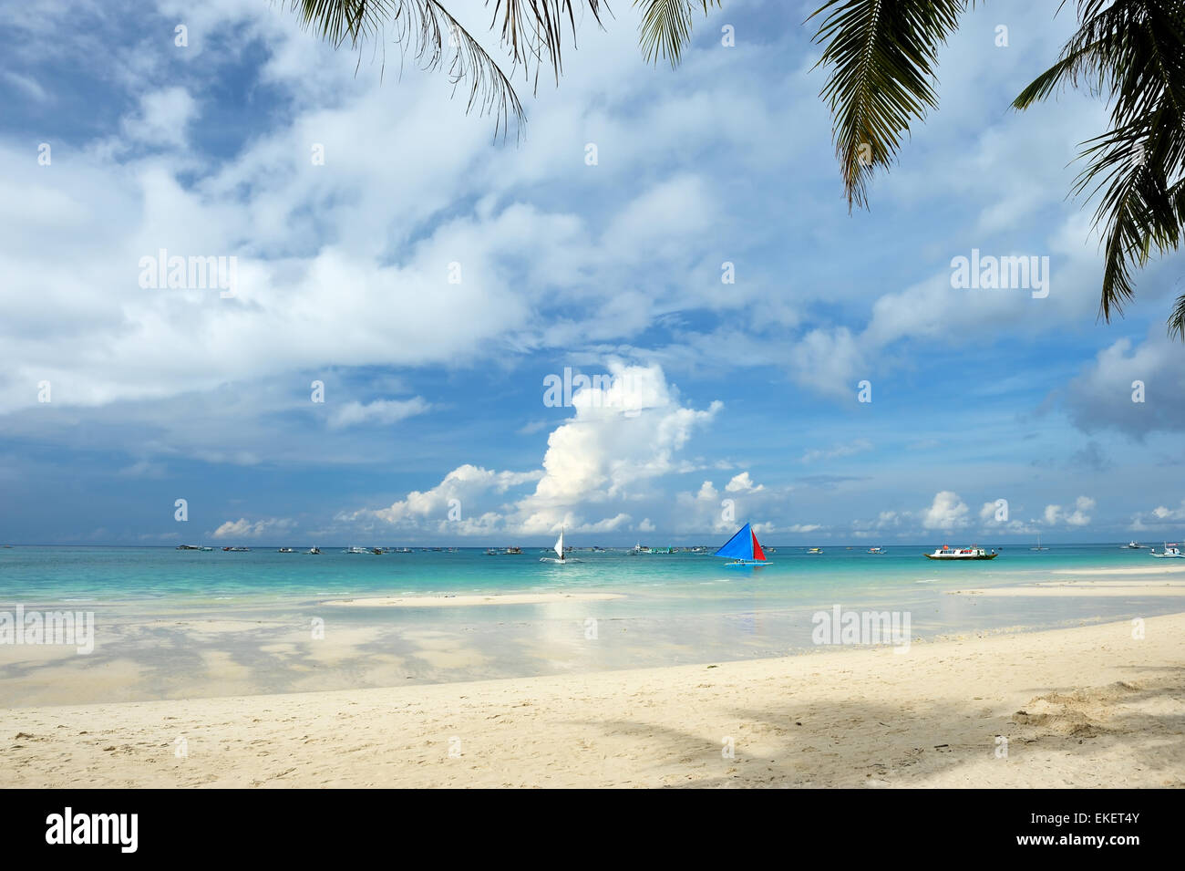 Beautiful beach with palm trees Stock Photo - Alamy