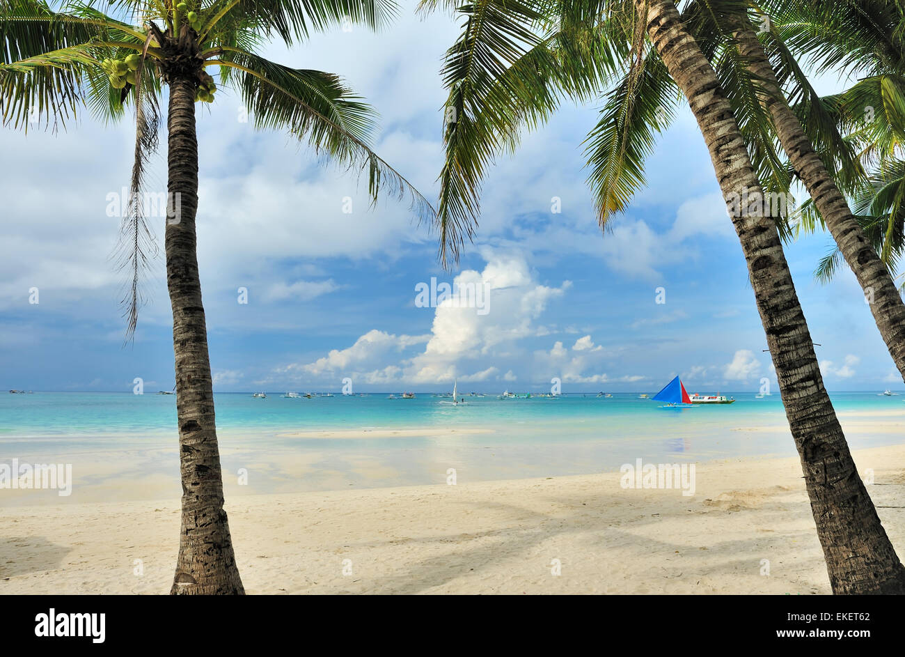 Beautiful beach with palm trees Stock Photo - Alamy