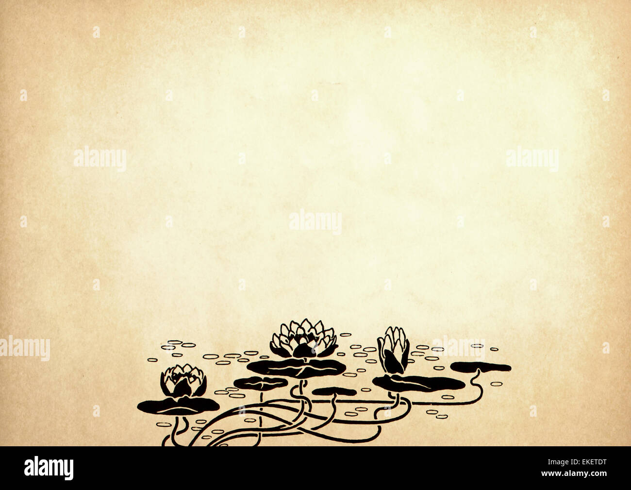 Illustration of lotus flowers on old paper Stock Photo - Alamy