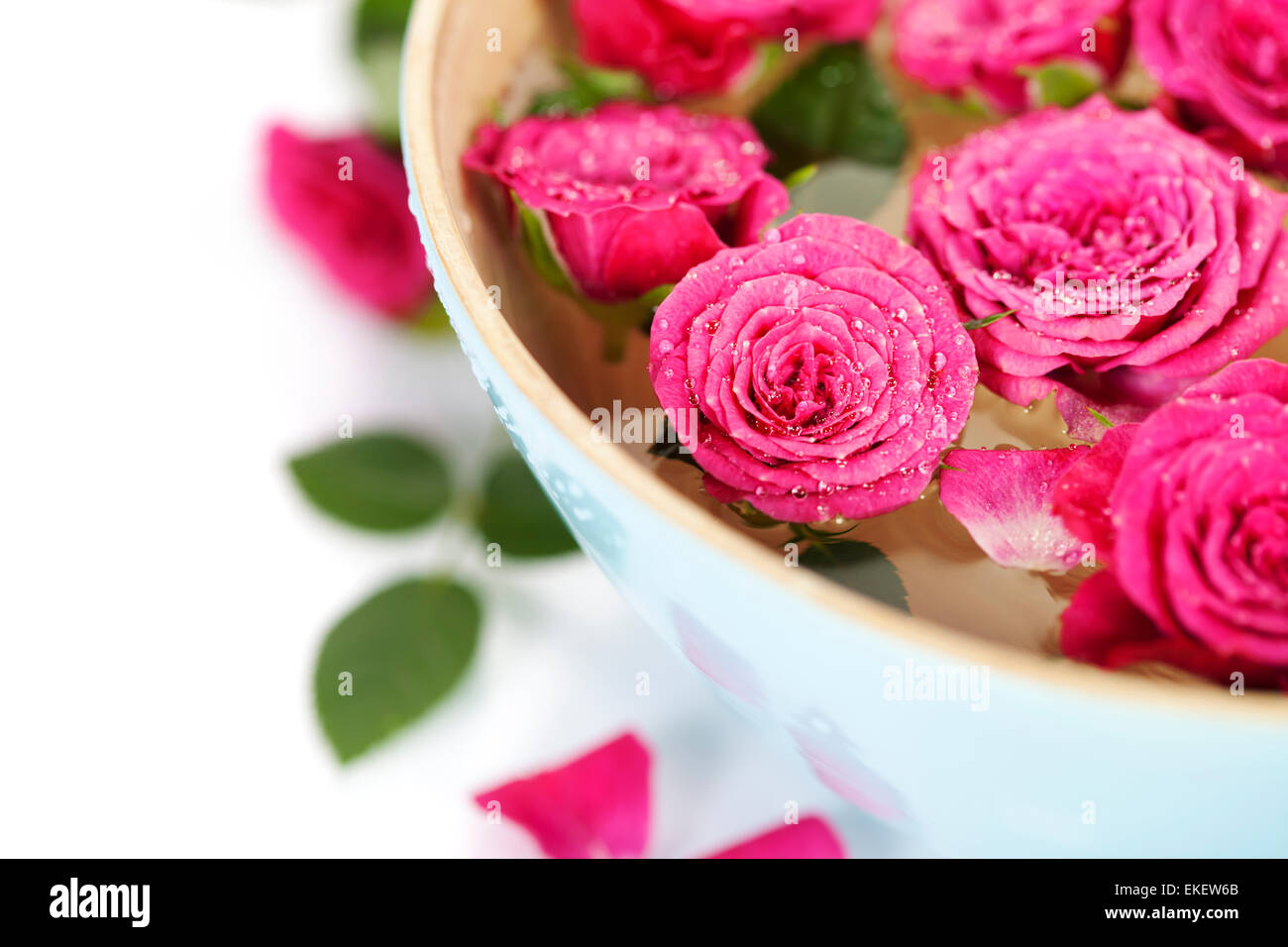 Floating roses water bowl hi-res stock photography and images - Alamy