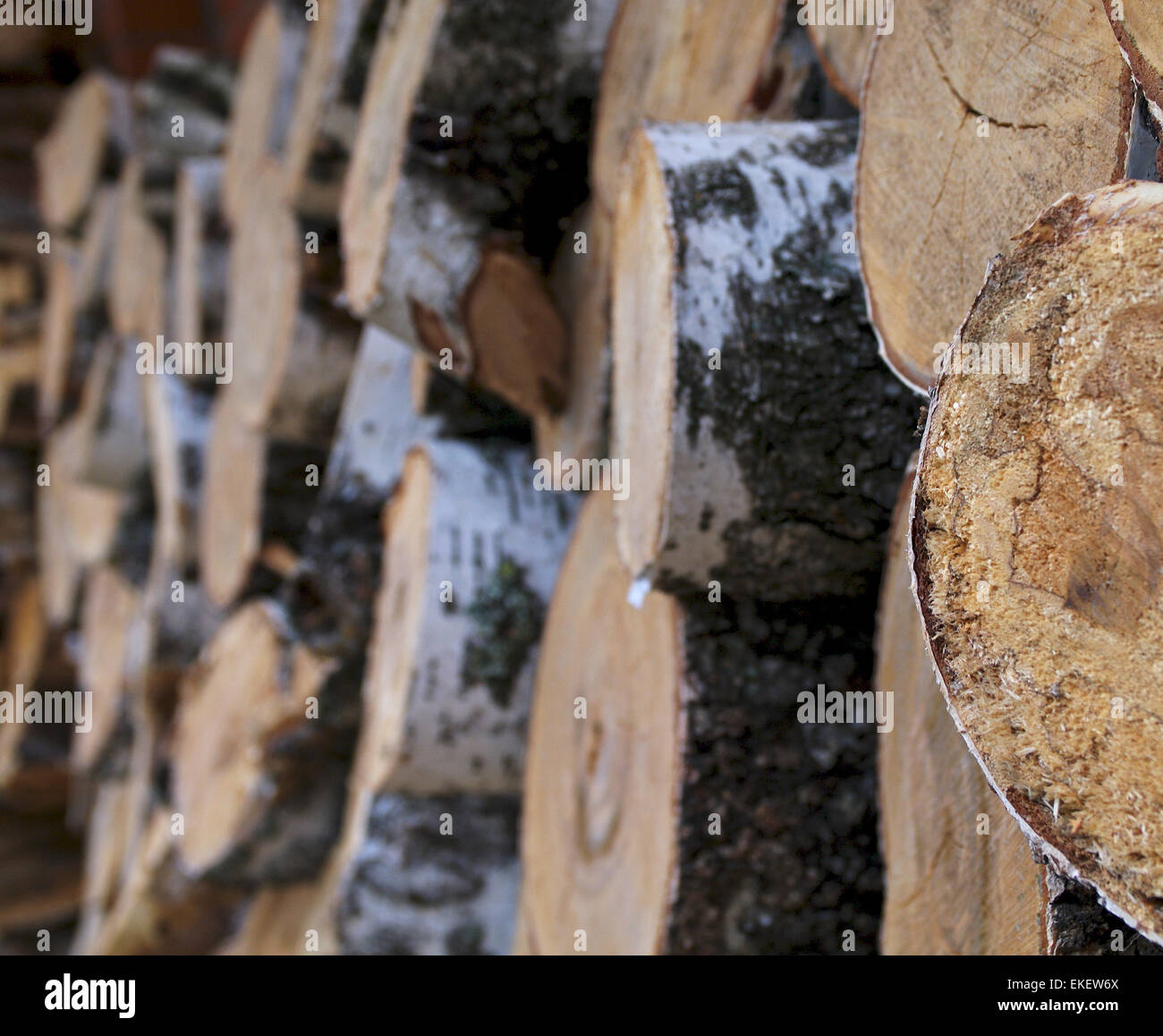 Stacked Round Logs Stock Photo - Alamy